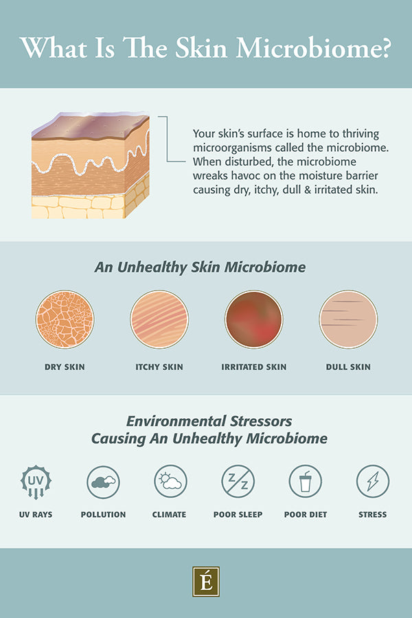 What Is The Skin Microbiome? – Tayshea Esthetics